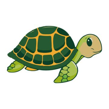 Simple Flat Hand Draw Cute Cartoon Turtle Vector Hand Clipart Turtle