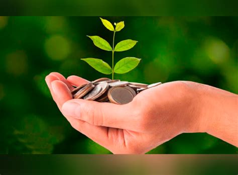 Aproveche la economía verde para reducir costos en su empresa