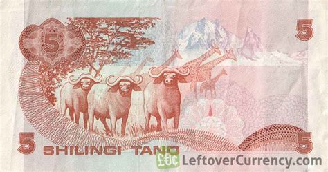 Leftover Currency Easily Exchange Kenyan Shillings Banknote