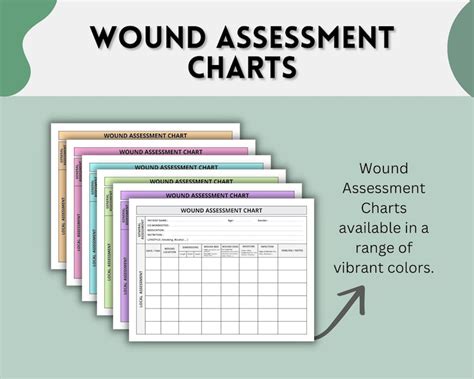 OASIS E Cheat Sheet Ultimate Bundle Start Of Care Template BIMS