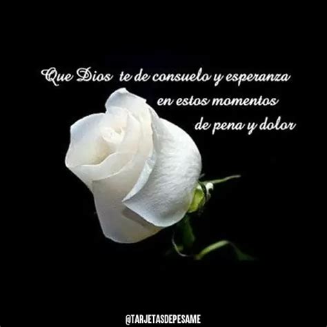 Tarjetas de pésame gratis para enviar y dar tus condolencias Imagenes