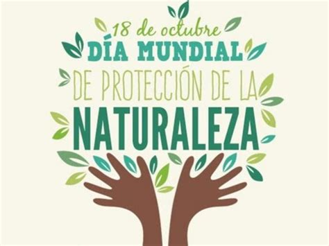Día Mundial de Protección de la Naturaleza Enfoque Noticias