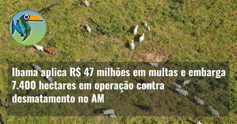 Ibama aplica R 47 milhões em multas e embarga 7 400 hectares em
