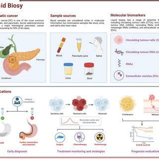 Components Of Tumor Circulome Examined In Liquid Biopsies And Their
