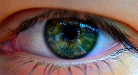 Retinoblastoma O Que Quais Os Sintomas Entenda O C Ncer Nos Olhos