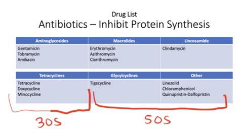 ANTIBIOTICS Flashcards Quizlet