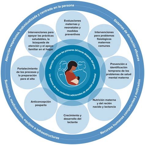 Figura 4 1 Representación esquemática del modelo de la OMS de cuidados