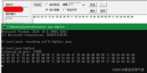 java中实现监听udp协议的指定端口并收到数据按照十六进制输出 java监听udp csdn博客