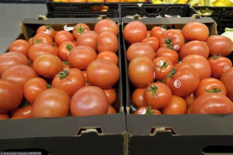 Przebadali pomidory z popularnych marketów Oto co w nich znaleźli o2
