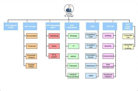 Organigramme hiérarchique définition explication et modèles modifiables