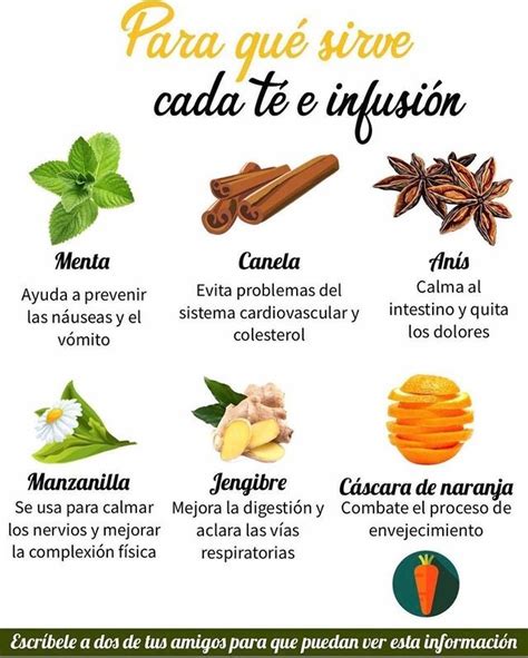Arriba 82 Imagen Recetas De Remedios Caseros Y Para Que Sirven