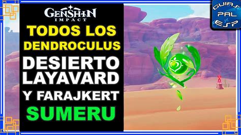Todos Los Dendroculus Desierto De Layavard Y Farajkert Sumeru