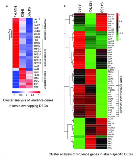 Cluster Analysis Of The Differential Expressed Virulence Genes In