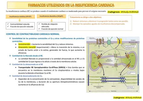Fármacos para la Insuficiencia Cardíaca Katzung StudyWithMed uDocz