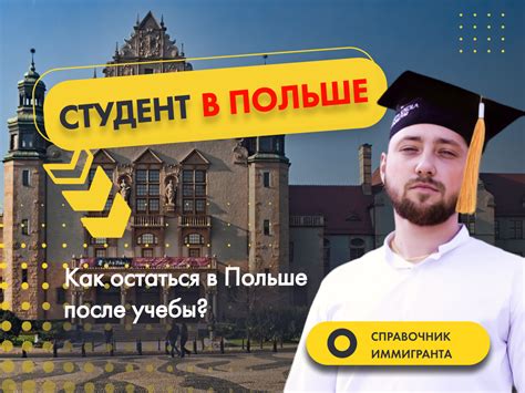 Студент в Польше Как остаться в Польше после учебы
