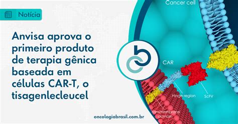 Anvisa aprova o primeiro produto de terapia gênica baseada em células