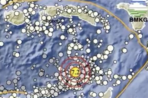 BMKG Catat 45 Gempa Susulan Di Tanimbar Usai Diguncang M 7 2