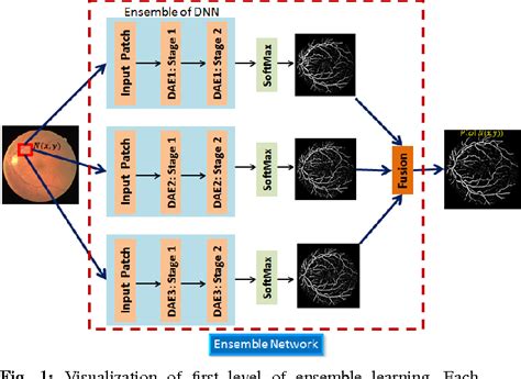 deep neural ensemble for retinal vessel segmentation in fundus images towards achieving label
