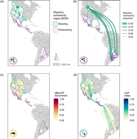 integrating data types to estimate spatial patterns of avian migration across the western