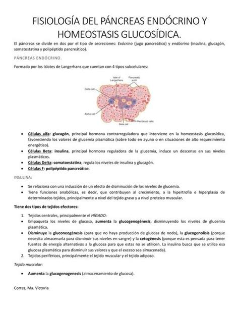 Fisiología del Páncreas Endócrino María victoria Cortez uDocz