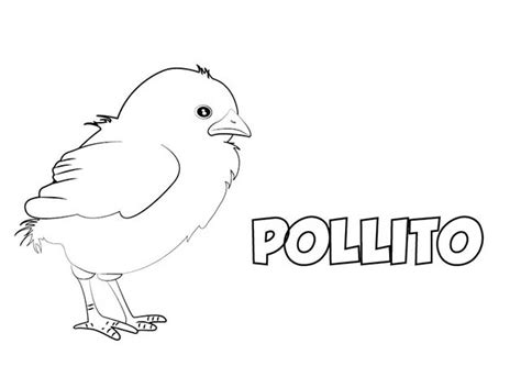 Colorear Dibujo Pollito Para Imprimir Colorear E Imprimir
