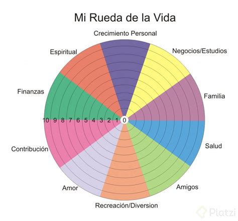 Reas Da Vida Humana Braincp