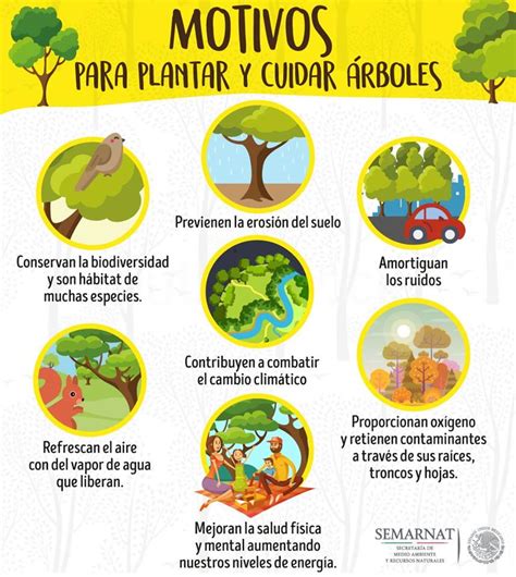 Details 48 como proteger los árboles Abzlocal mx