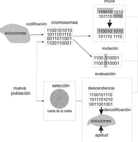 estructura general de un algoritmo genético población tiene uno o más download scientific