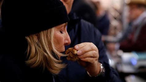A qué saben las trufas Descubre su sabor olor y aroma