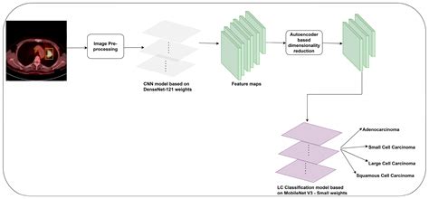 applied sciences free full text lung cancer detection model using deep learning technique