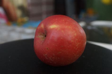 Manzana Fruta Comida Foto Gratis En Pixabay Pixabay