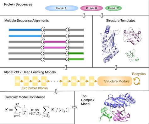 af2complex a deep learning model for predicting protein complex structures and protein protein