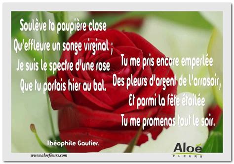 les poèmes en fleurs ALOE FLEURS Poeme François coppée Citation