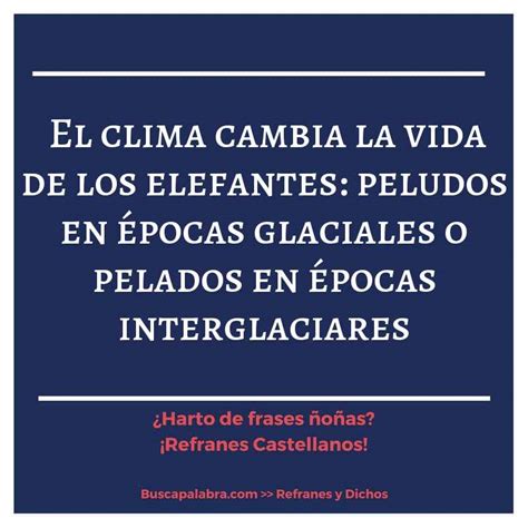 Arriba 38 Imagen Refranes Pelados Viaterra Mx