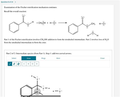 Solved Examination Of The Fischer Esterification Mechanism Chegg