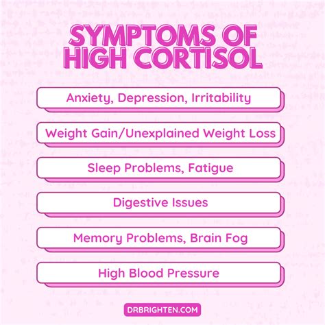 The Connection Between High Cortisol Levels And Cognitive Function