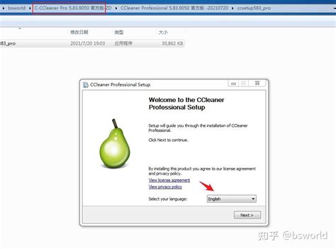 Ccleaner Wise Disk Cleaner X