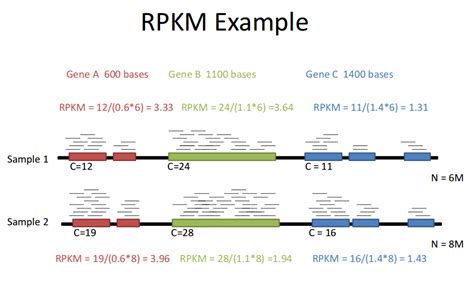 Rpkm Fpkm Tpm