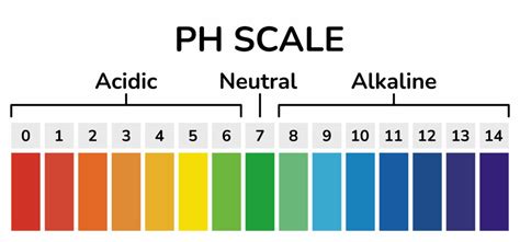What Does The Ph Scale Measure Free Expert Q A Bartleby