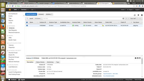 How To Create An Amazonaws Ec2 Linux Instance