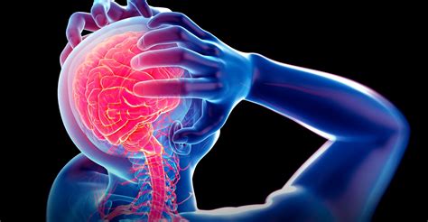 Les Questions Réponses Cerveau Futura Santé