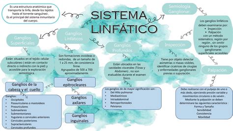 Mapa Mental Sistema Linfatico EDUKITA