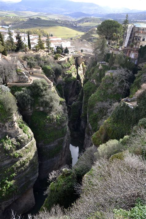 2018 Ronda Málaga Palomo Mensajero Flickr