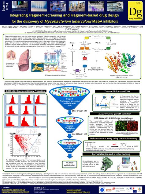 PDF Integrating Fragment Screening And Fragment Based Drug Design For