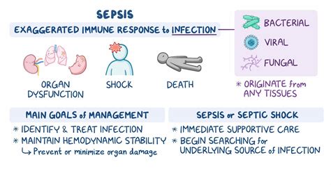 Sepsis Clinical Sciences Osmosis Video Library