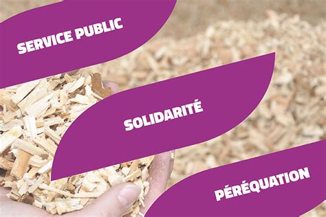 Orientations stratégiques du SIEL Territoire d énergie Loire Le SIEL