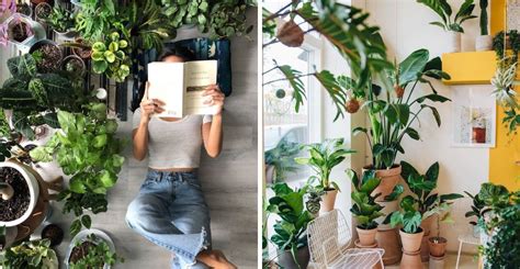 Las Mejores Ideas Para Sumar Plantas Y Refrescar Tu Casa En Verano