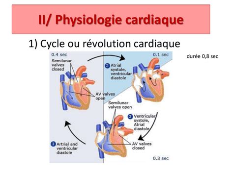 UE 2 7 Partie 1 Physiologie Cardio