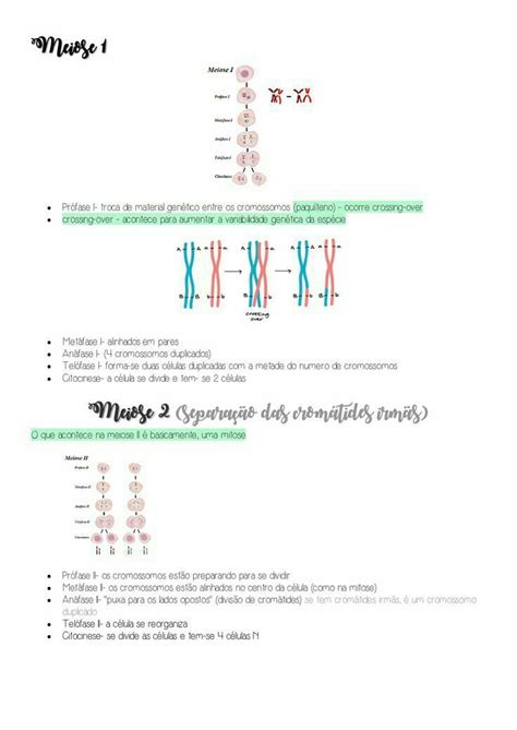 Continua O De Mitose E Meiose Planos De Estudo Enem Estudos Para O