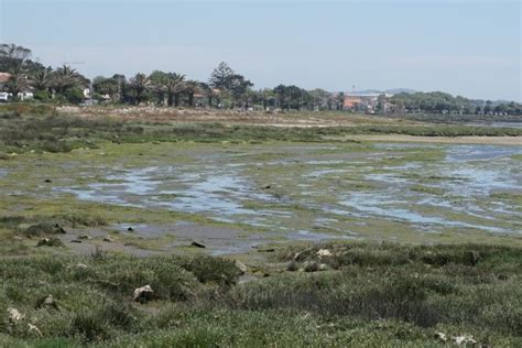 Parque Natural Do Litoral Norte O Que Fazer E Visitar